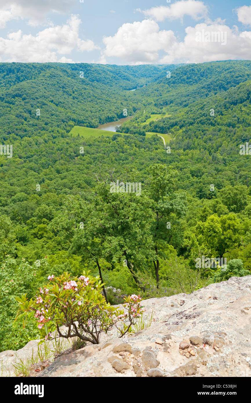 Countryside of Central Kentucky Stock Photo - Alamy