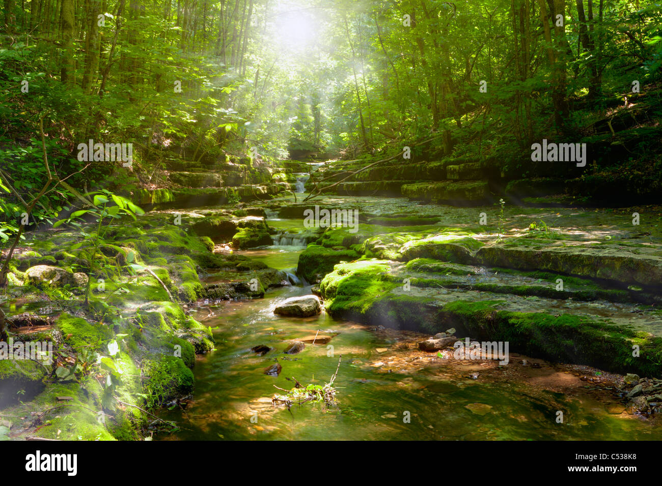 Transparent creek hi-res stock photography and images - Alamy