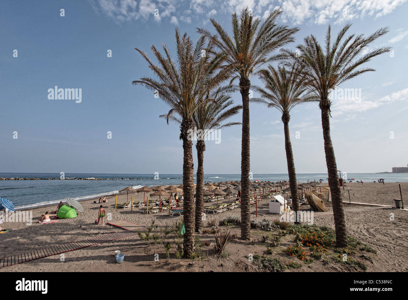 Beach near Malaga, Benal Madena, Spain. Palm trees, sunbathers. Don ...