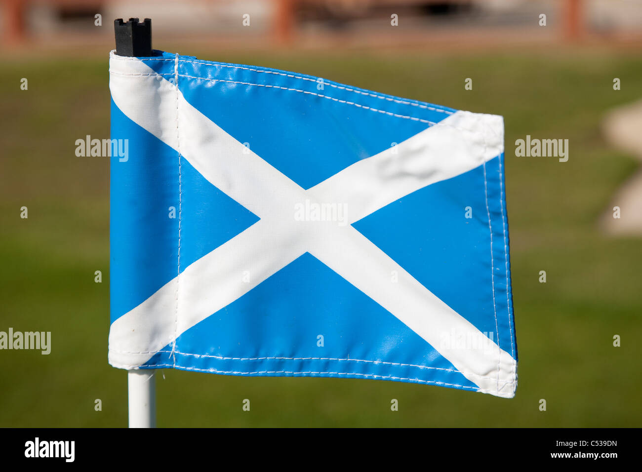 Scottish Flag on Golf Course Stock Photo - Alamy