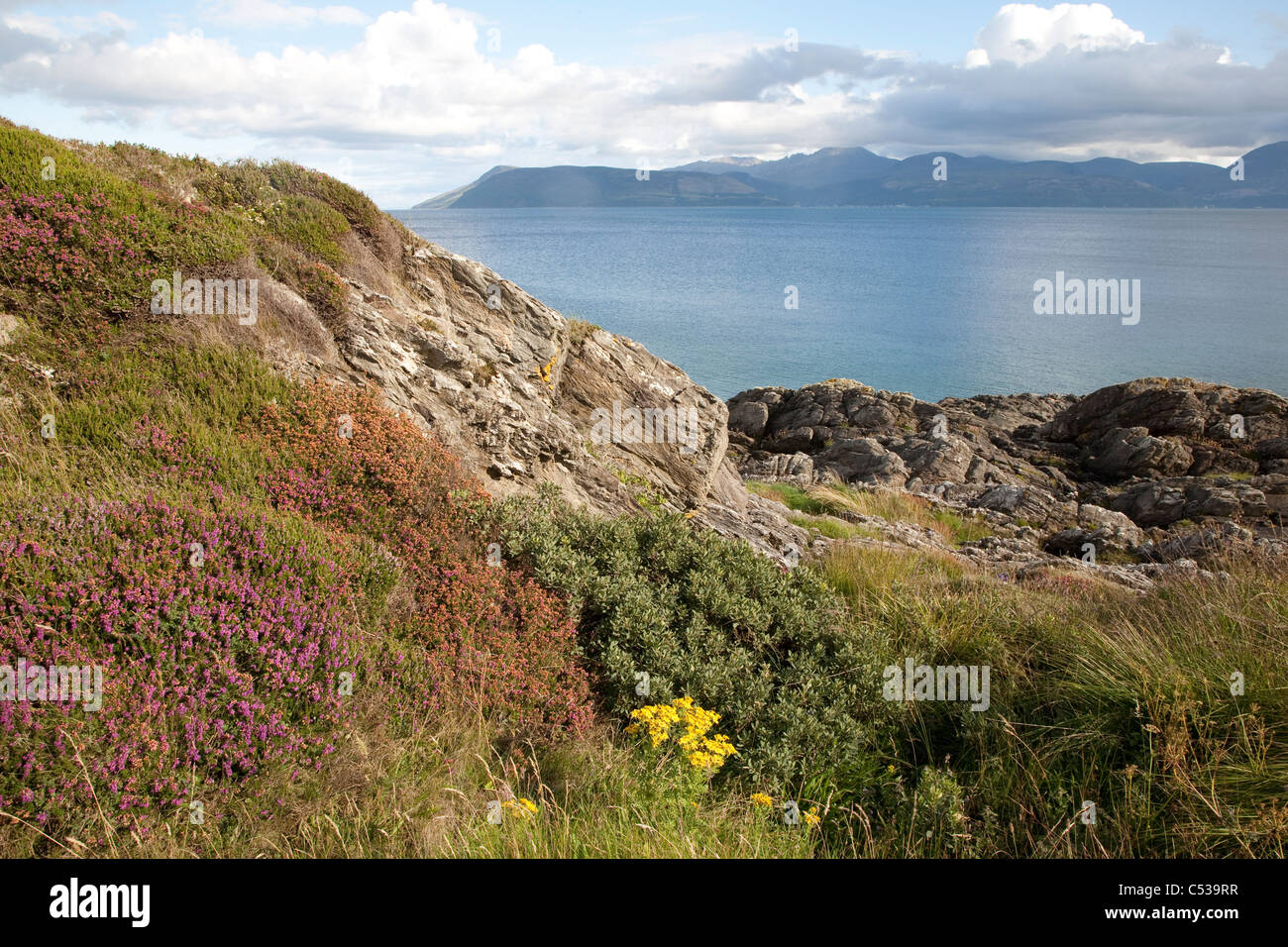 Isle of Arran from Kintyre in Scotland Stock Photo - Alamy
