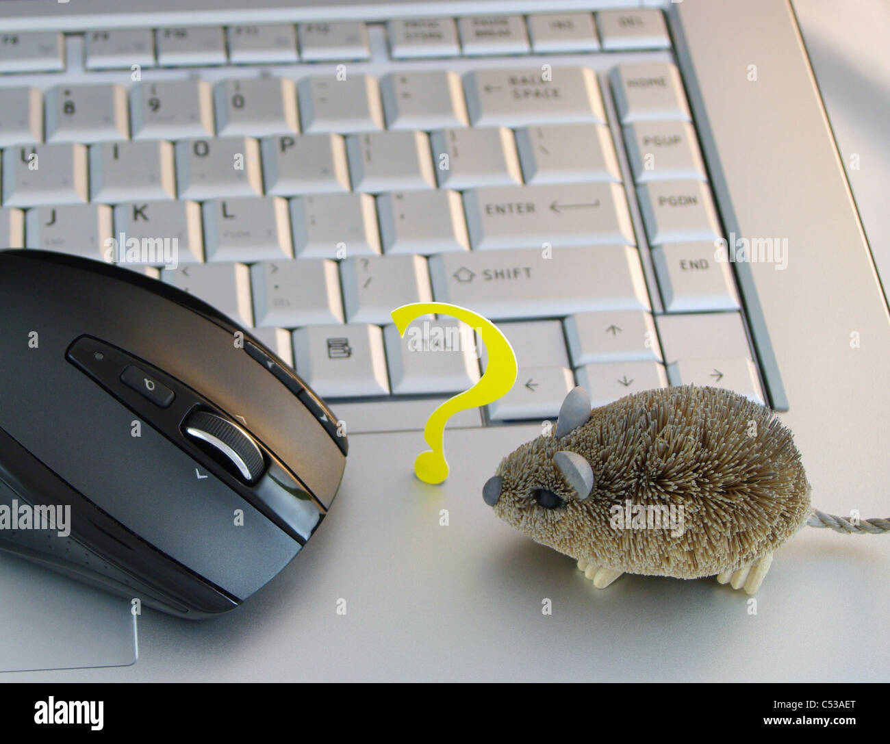 two different mouse on laptop computer keyboard Stock Photo - Alamy