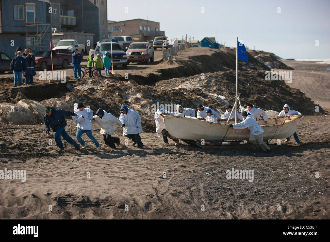 Whaling crew pulls their Umiaq off the Chuchki Sea ice at the end of ...