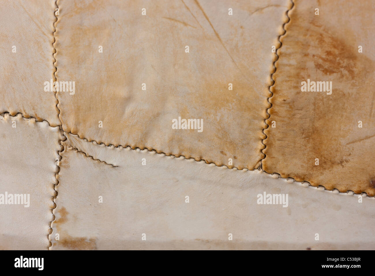 Close up detail of a Inupiaq Eskimo Skin Boat (Umiaq) made from bearded ...