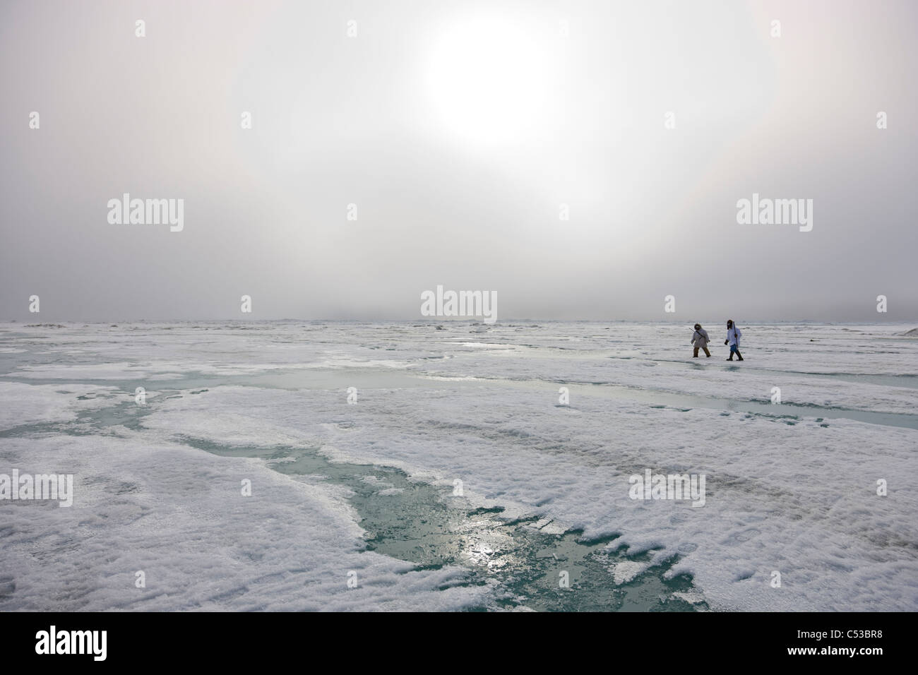 Inupiaq Eskimo hunters carry a rifle and walking stick while walking ...