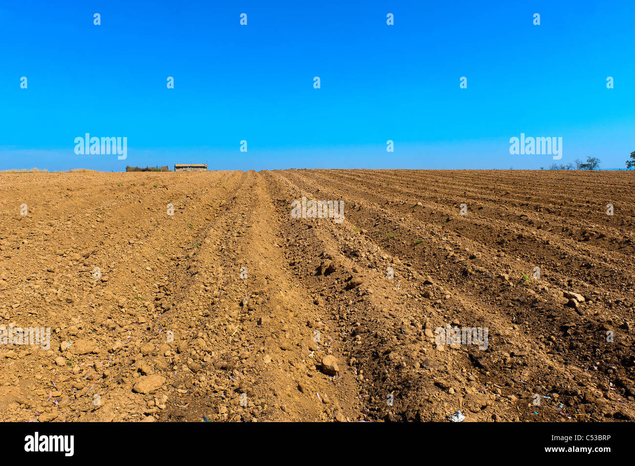 A plowed field in the Negev, Israel Stock Photo - Alamy