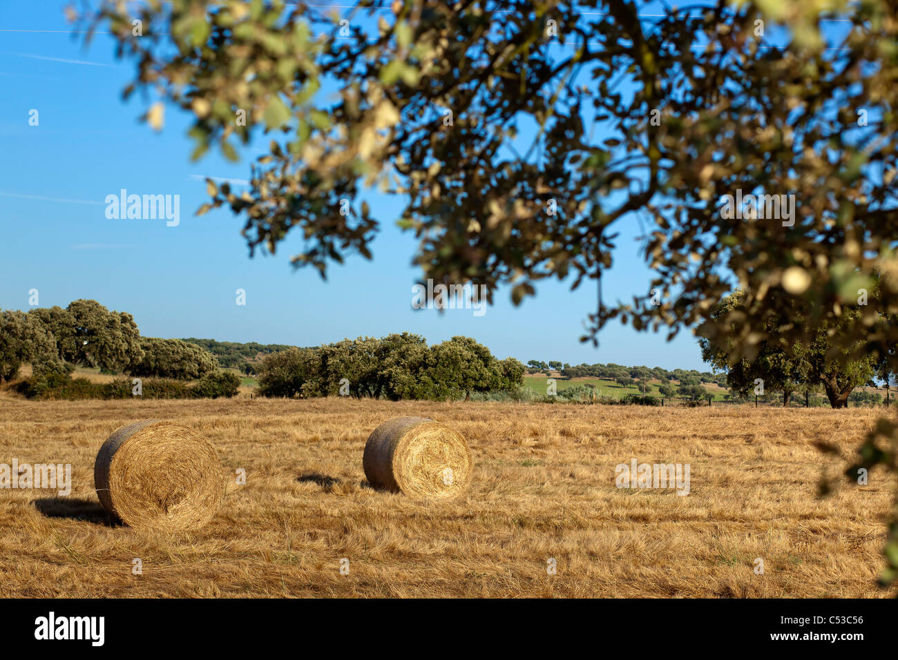Alentejo portugal rural scene hi-res stock photography and images - Alamy