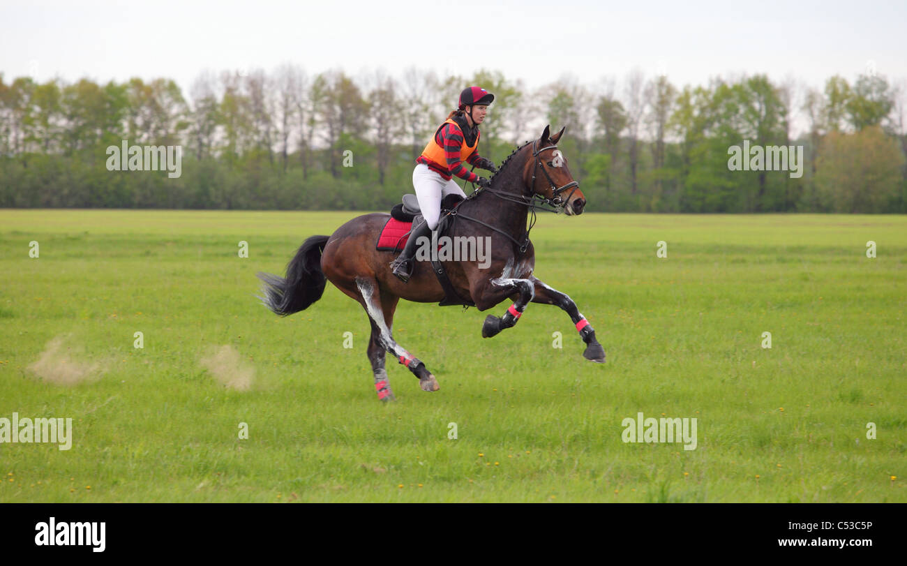 Gallop to win hi-res stock photography and images - Alamy