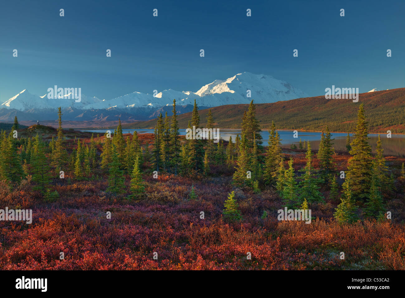 Mt denali clear sky hi-res stock photography and images - Alamy