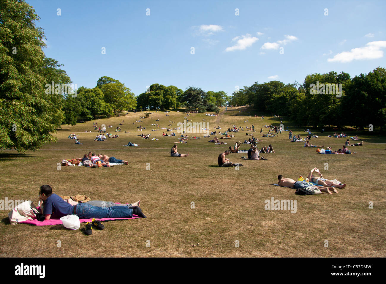 People sunbathing in the park Stock Photo - Alamy