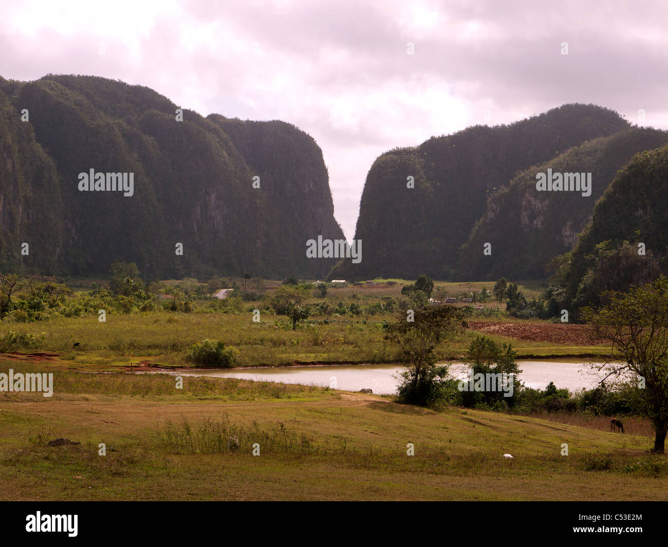 Pinar del rio region hi-res stock photography and images - Alamy