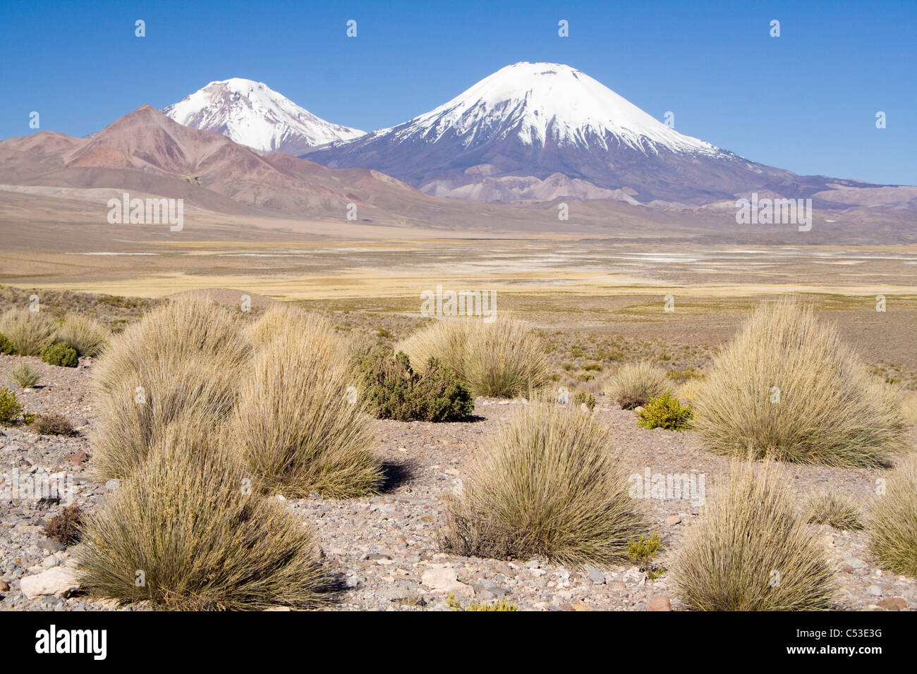 Parinacota and pomerape volcanos hi-res stock photography and images ...