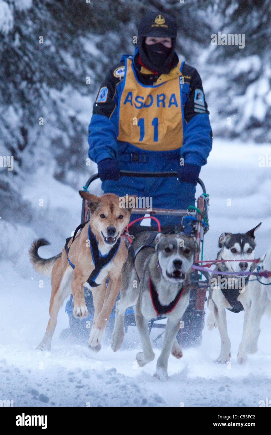Musher racing in the Lake Memorial Race, Tozier Track, Anchorage ...