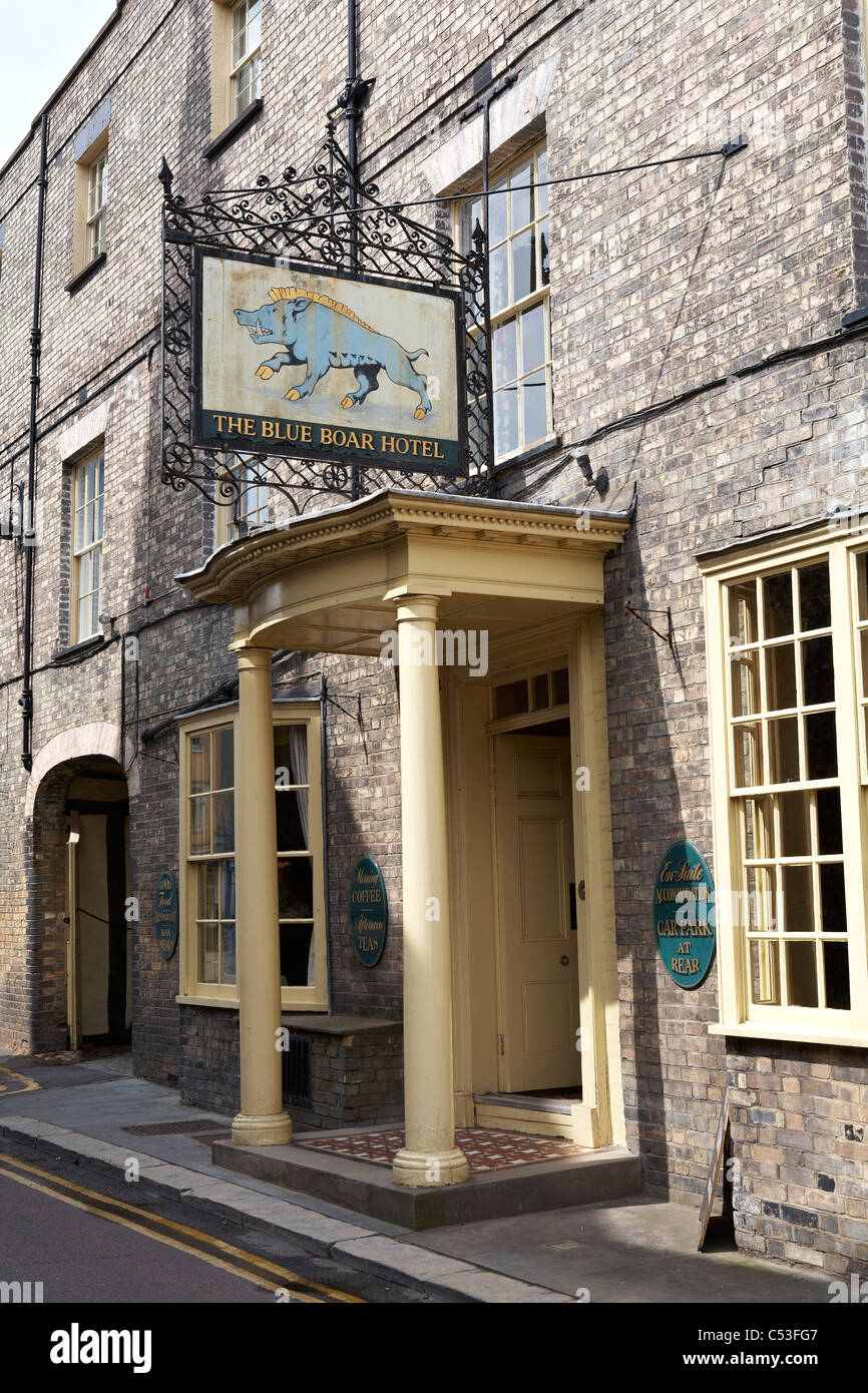 The blue boar hi-res stock photography and images - Alamy