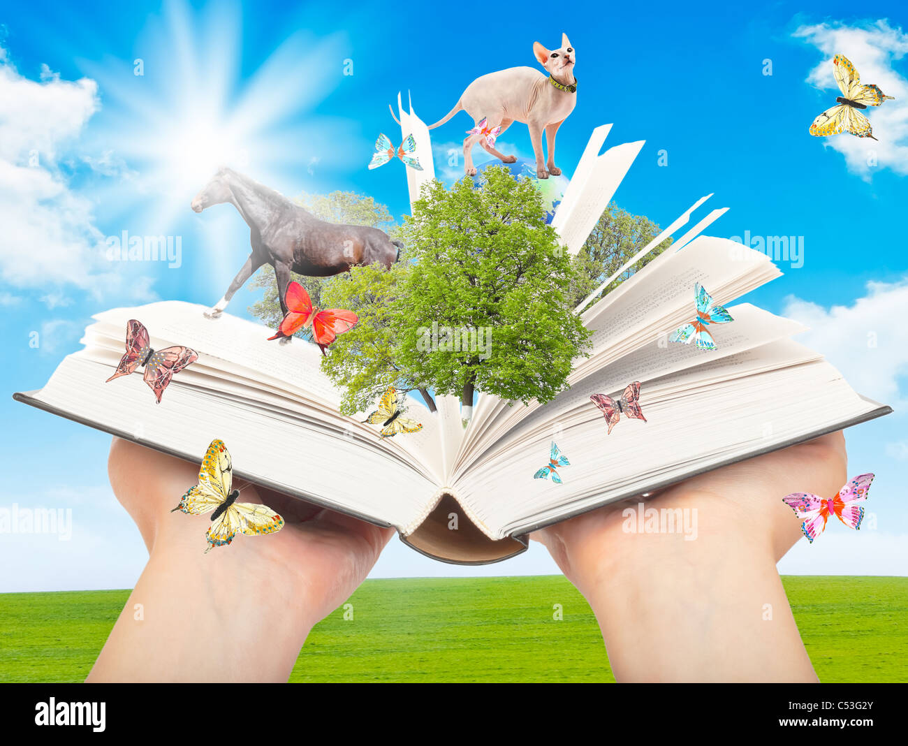 Magic book in human hands with a green tree and the rays of light on ...