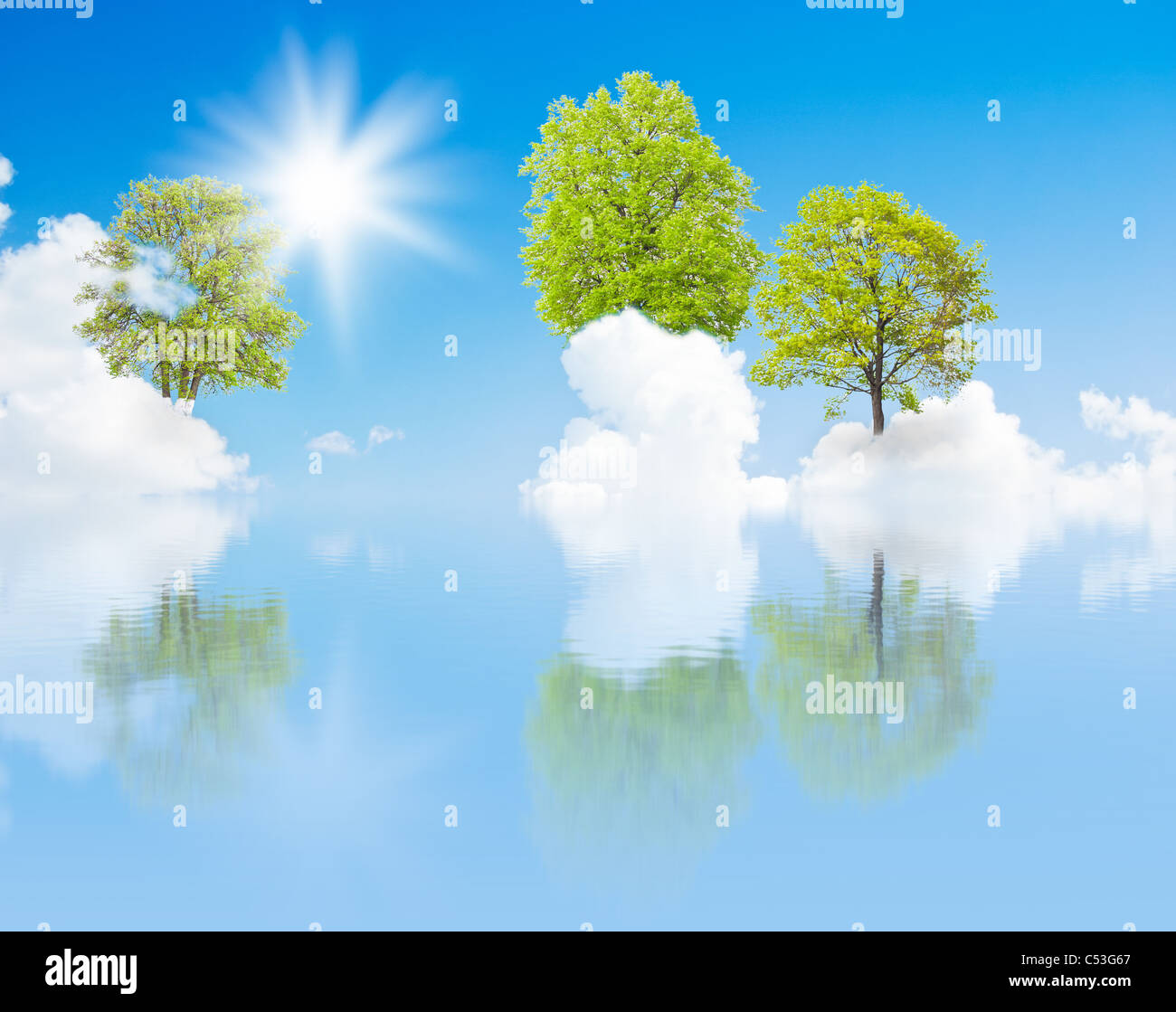 Trees growing out of the clouds and reflection on blue sky background ...