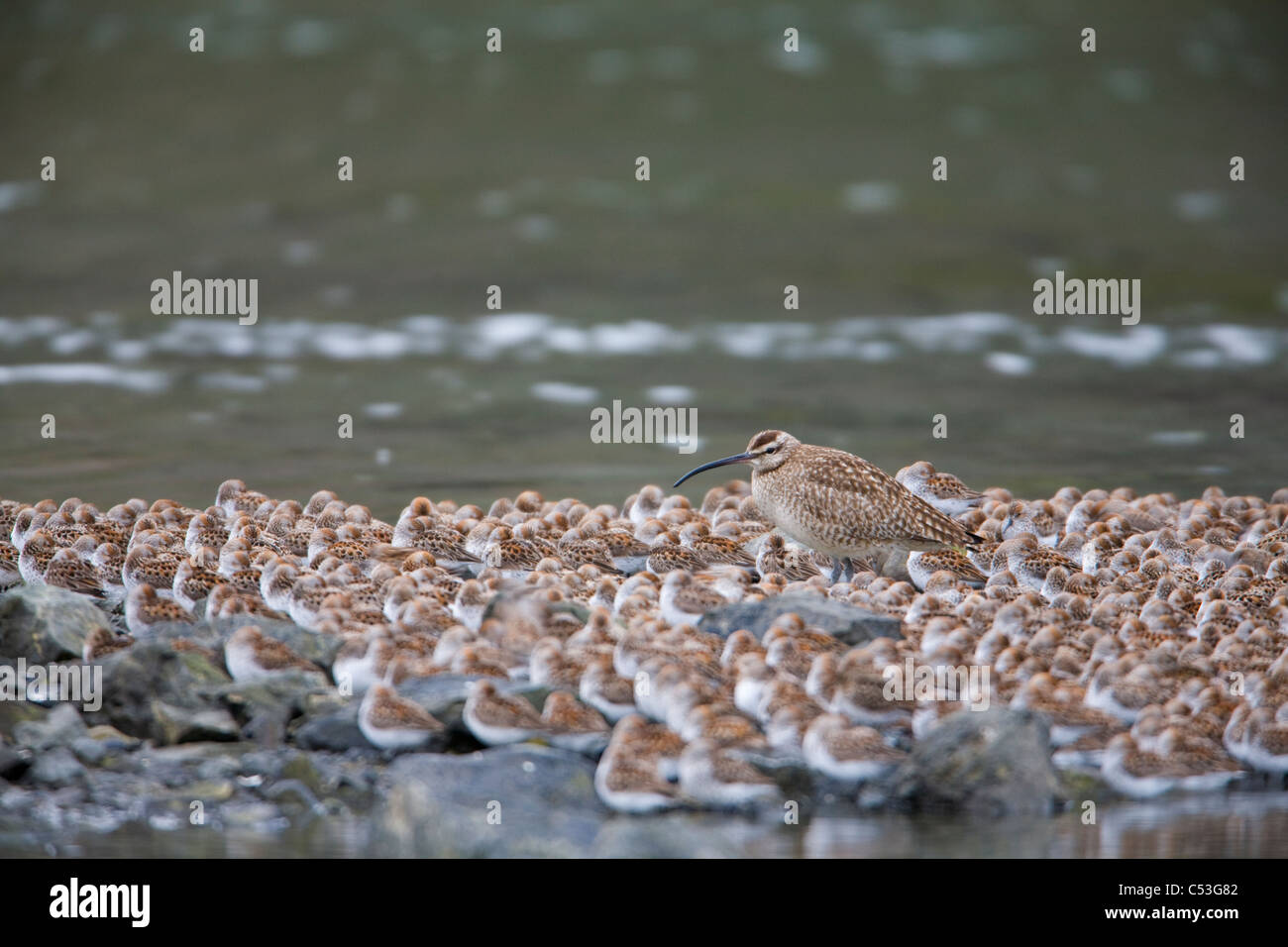 Odiak slough hi-res stock photography and images - Alamy