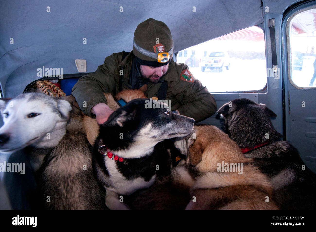 National Park Service Ranger loads his dog team into a plane in Gates ...