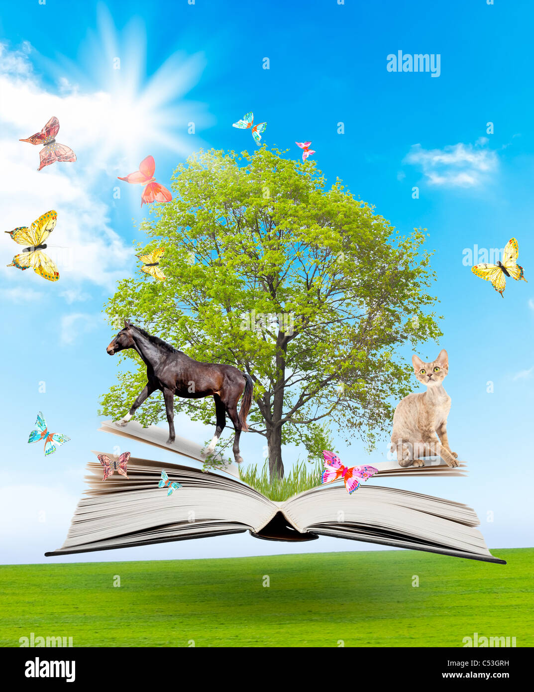 Symbol of knowledge hi-res stock photography and images - Alamy