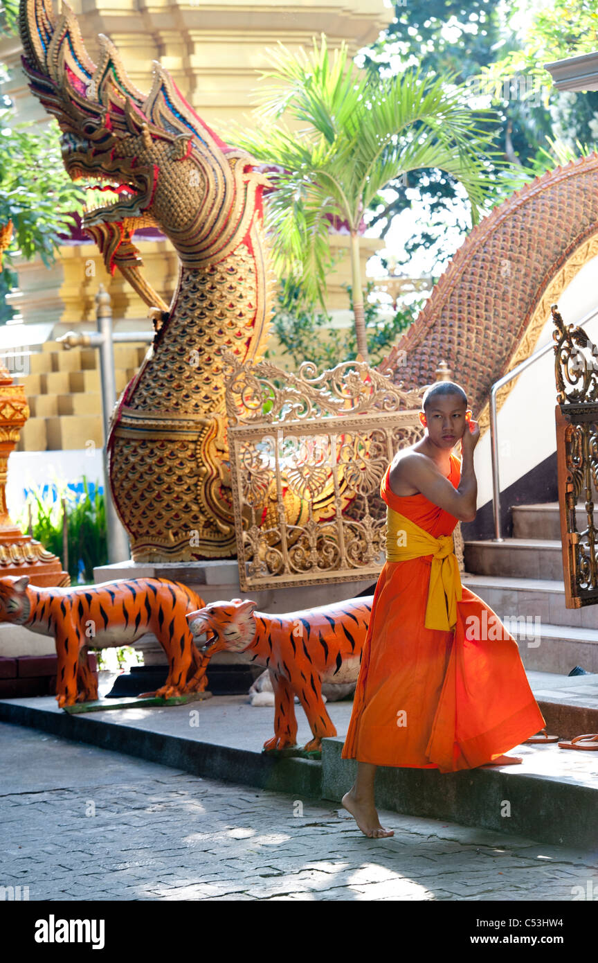 Novice monk at Wat Sri Soda, Chiang Mai, Thailand Stock Photo - Alamy