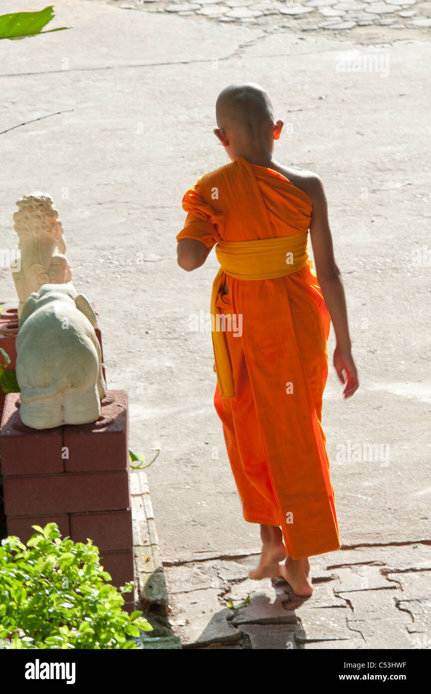 Novice monk at Wat Sri Soda, Chiang Mai, Thailand Stock Photo - Alamy