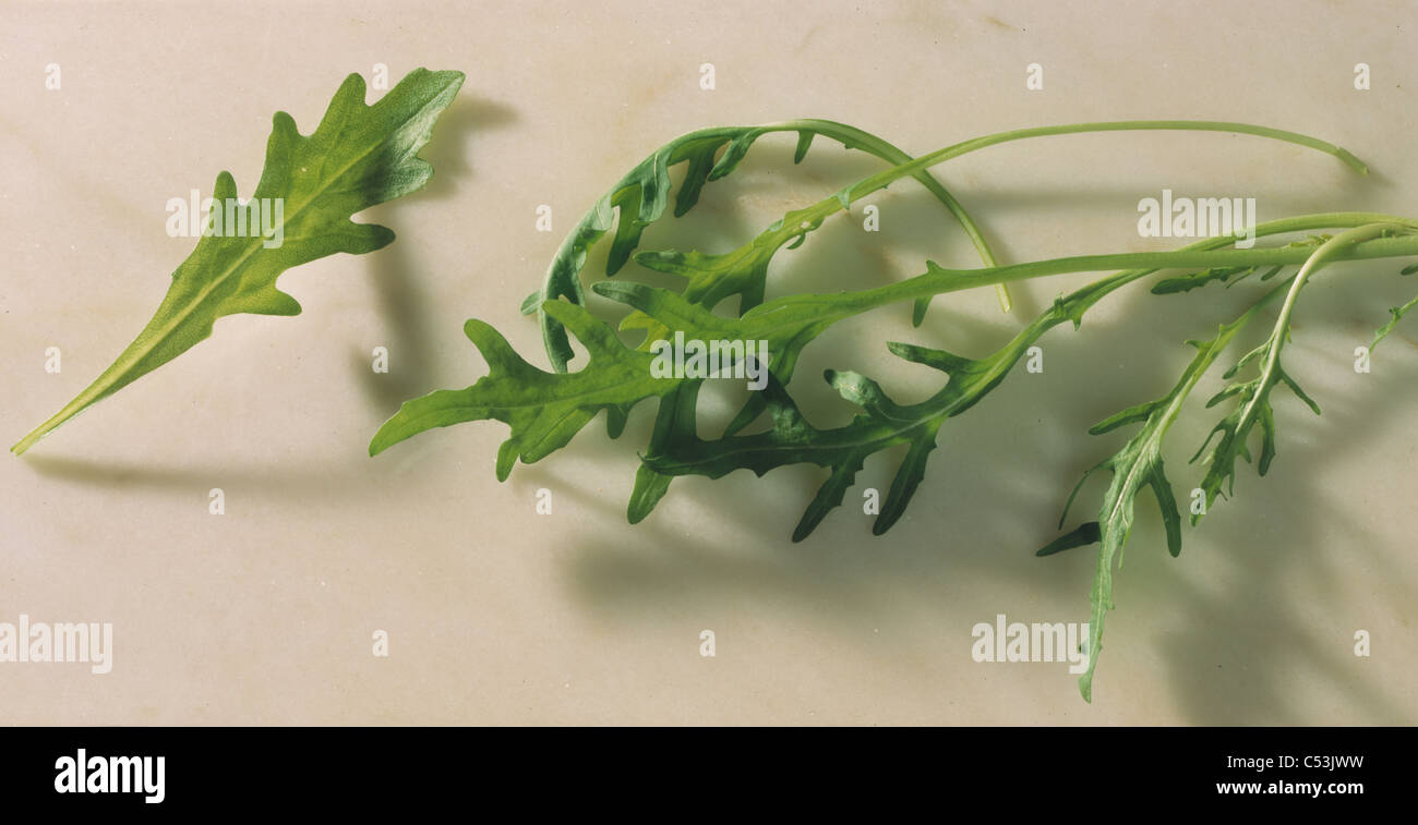 Cut out: Rucola ( italian Stock Photo - Alamy