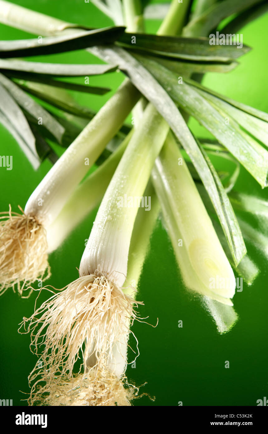 Leek on green background Stock Photo - Alamy