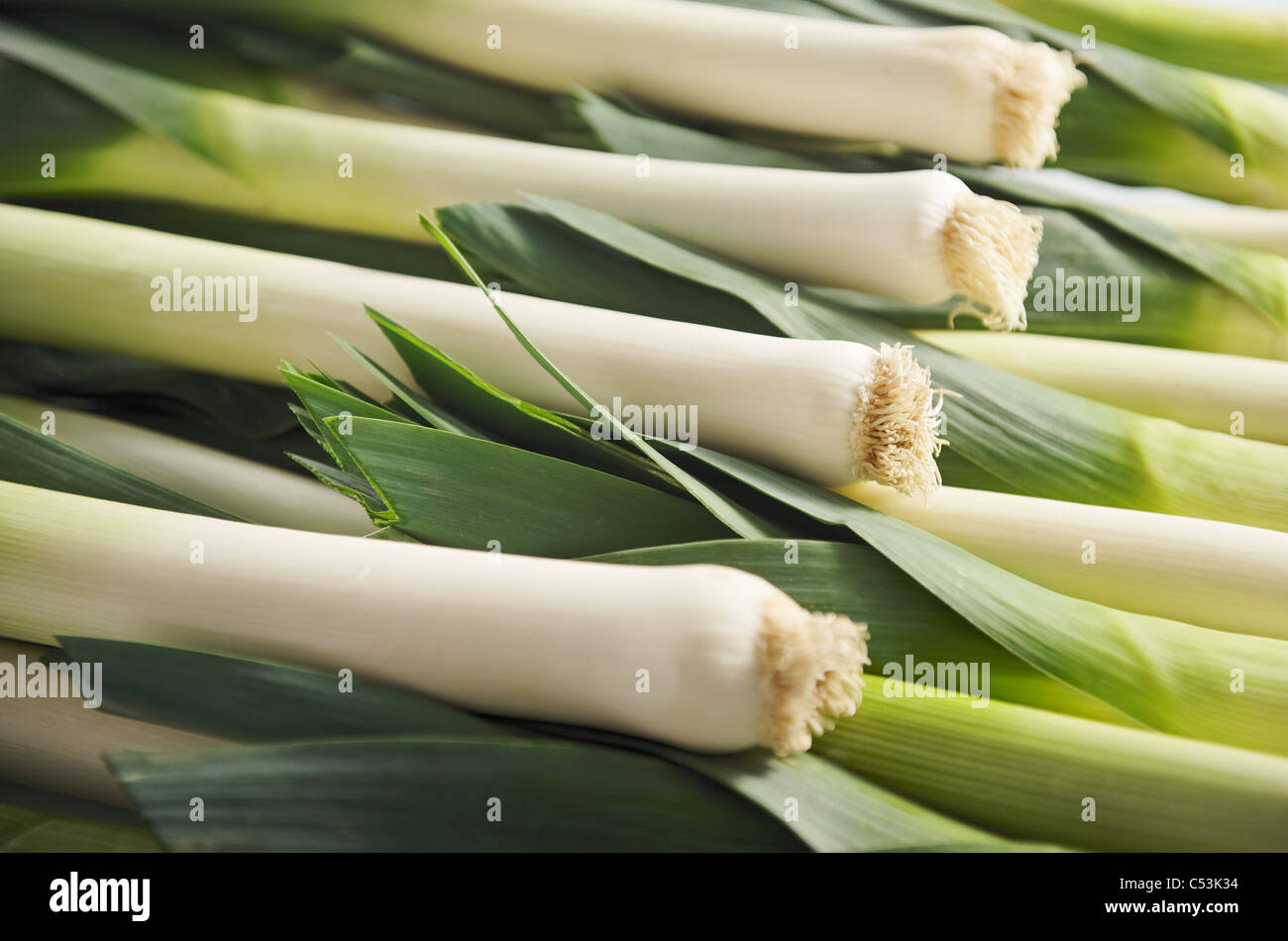 Leek hi-res stock photography and images - Alamy