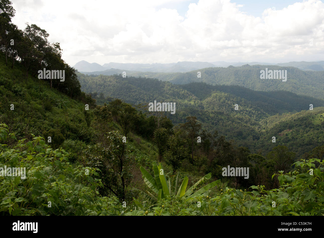 Trees on mountains, Thailand Stock Photo - Alamy