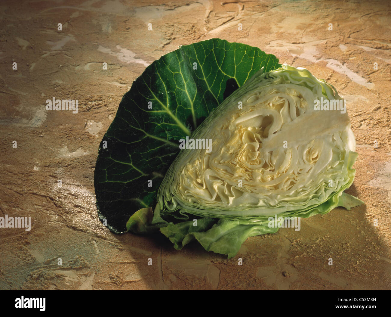 Still: Pointed cabbage Stock Photo - Alamy