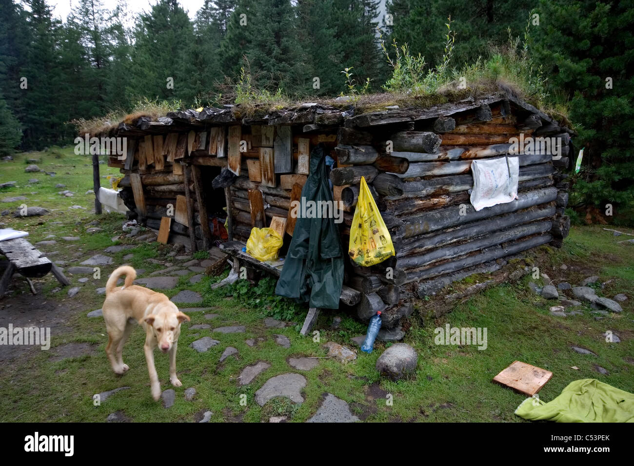 Hut (cabin) in taiga. Siberia. Mineral springs Shumak. East Sayan ...