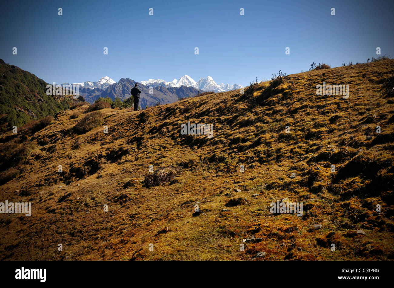 A scene on a trek in the Langtang Valley in Nepal Stock Photo - Alamy