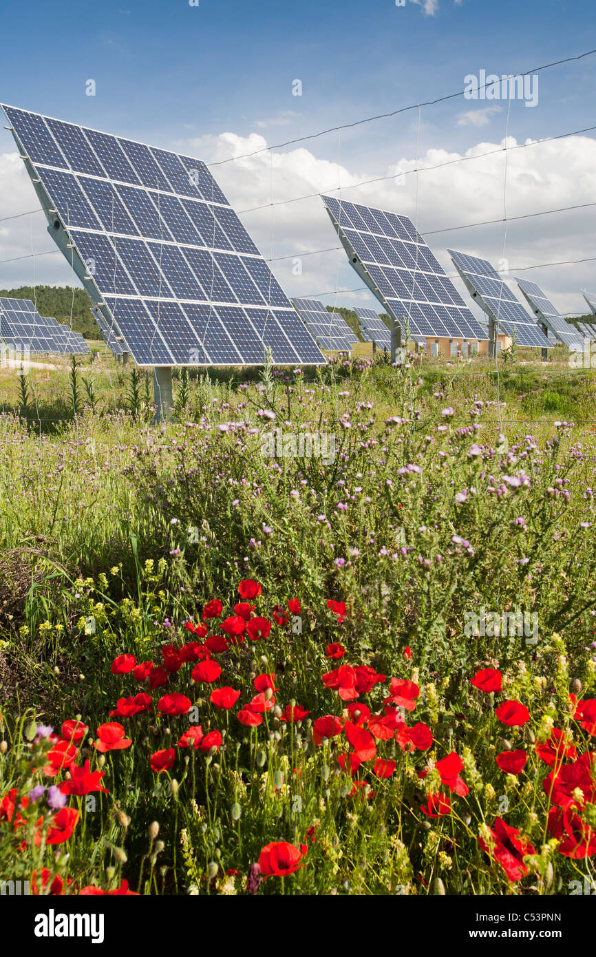 Solar panel wild flowers hi-res stock photography and images - Alamy
