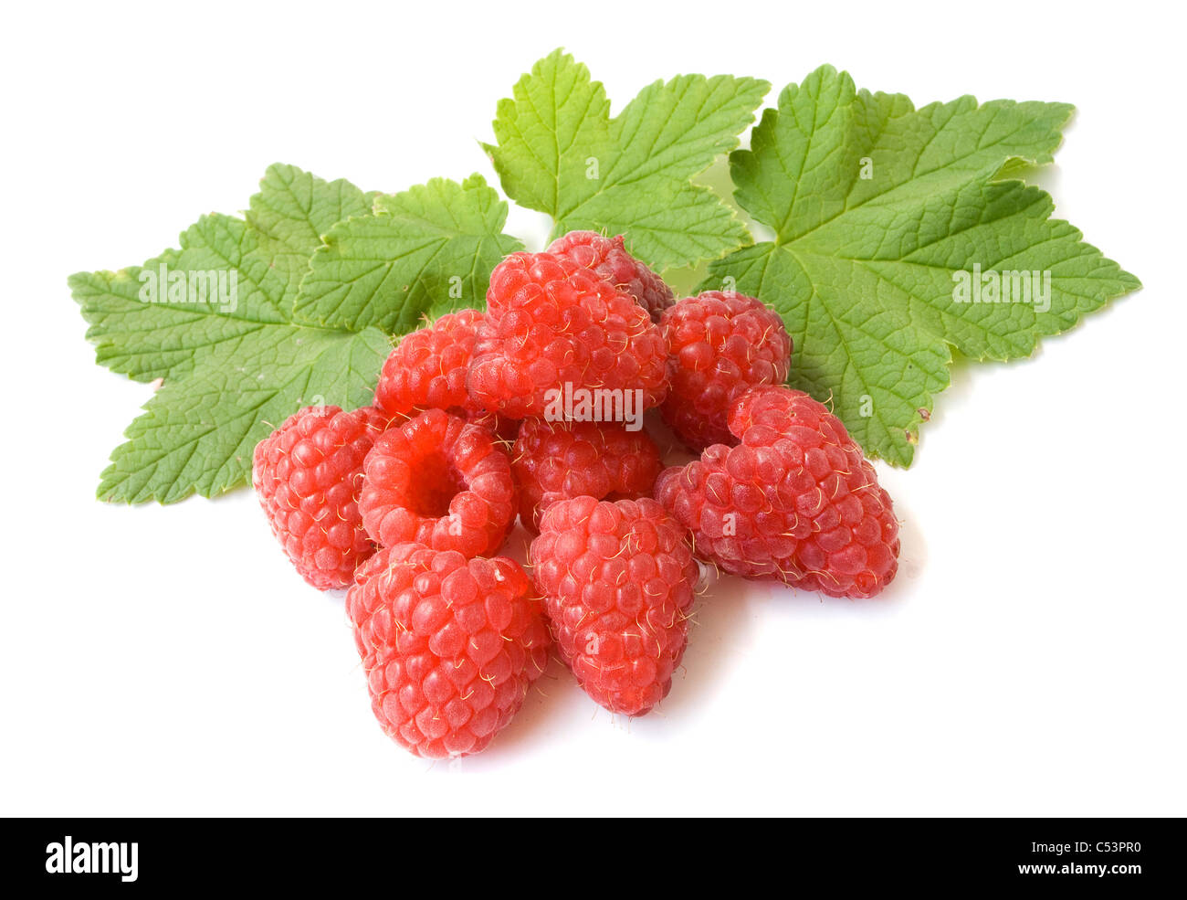 ripe red raspberries isolated on white background Stock Photo - Alamy