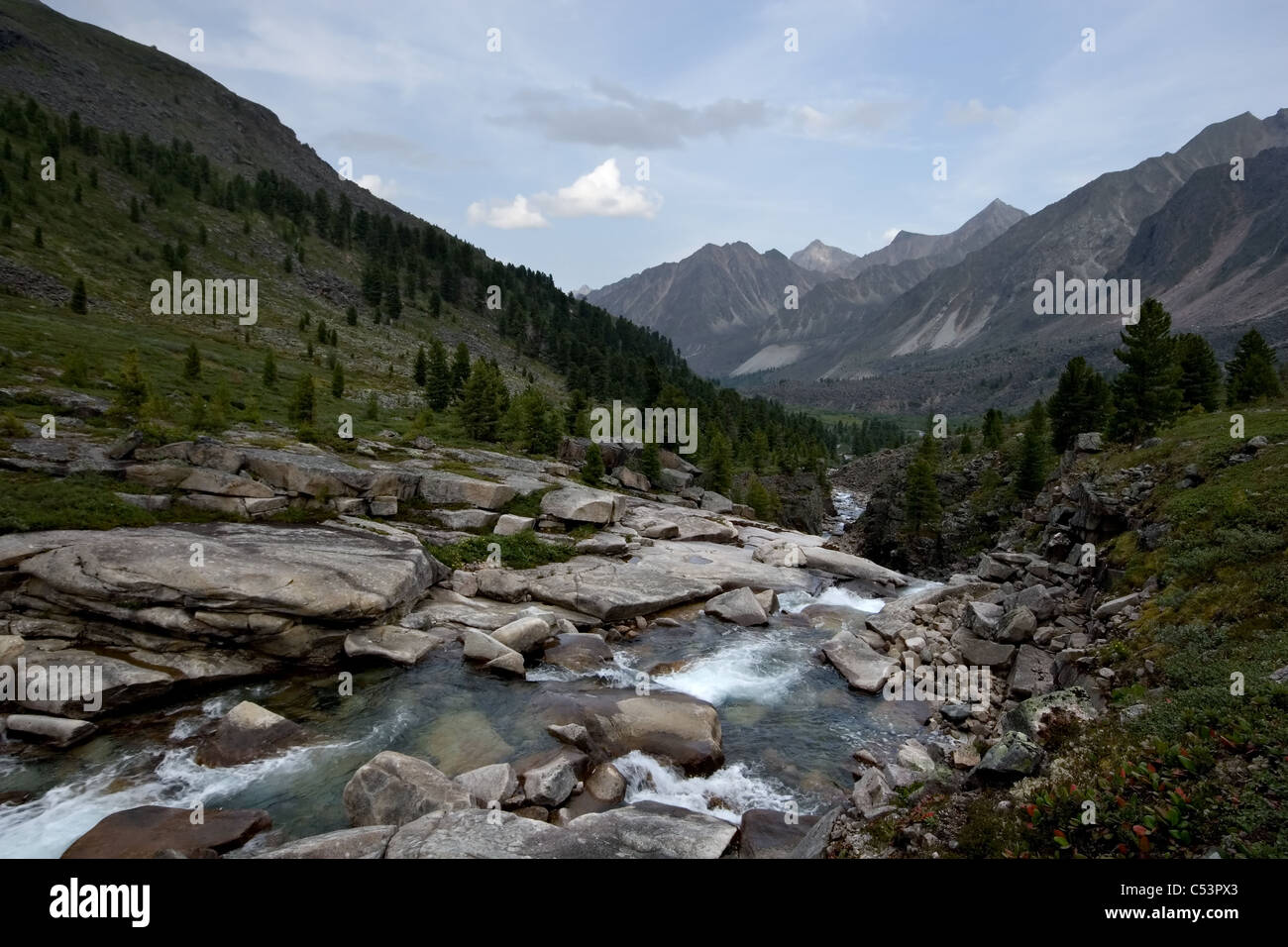 Mountain river in Eastern Sayan mountains. Flowing water among stones ...