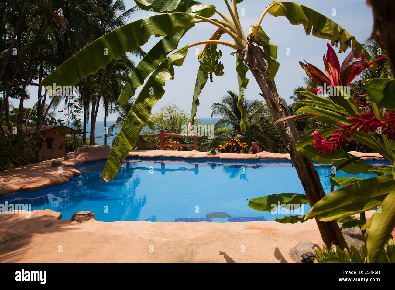 Tropical setting hi-res stock photography and images - Alamy