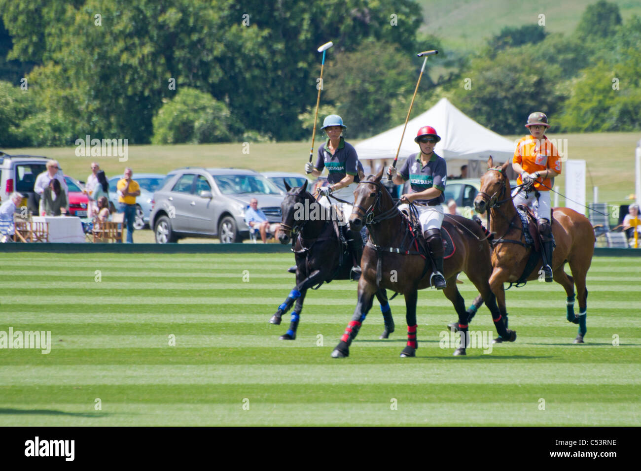 Polo match at Cowdray Park, May 2011 Stock Photo - Alamy