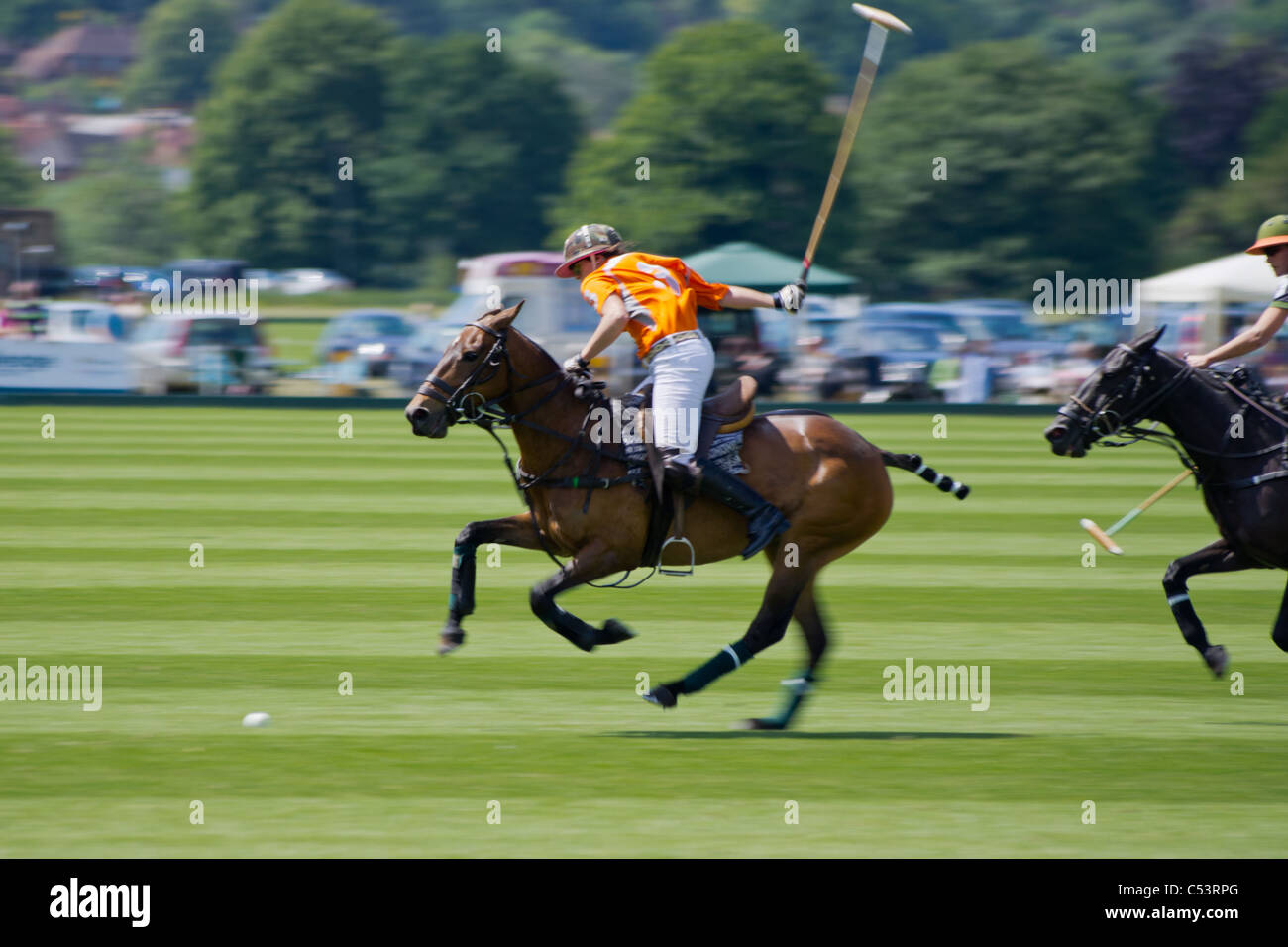 Polo match at Cowdray Park, May 2011 Stock Photo - Alamy