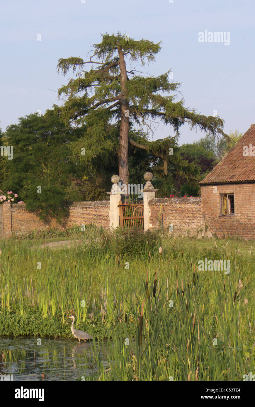 Rural scene of cotswold stone gateway, rustic boundary wall, scots pine ...