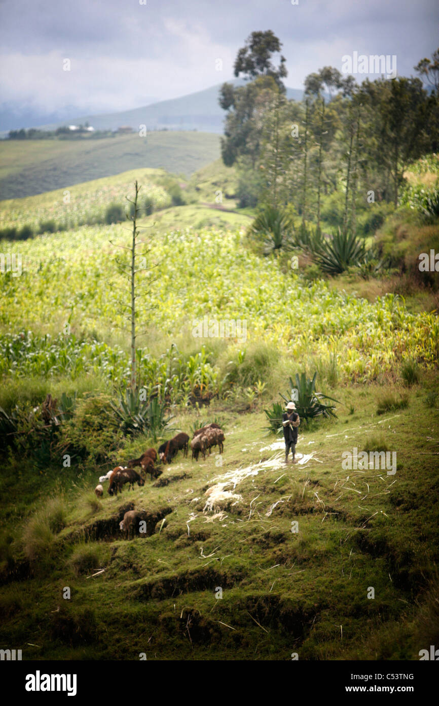 Tanzania farming family hi-res stock photography and images - Alamy