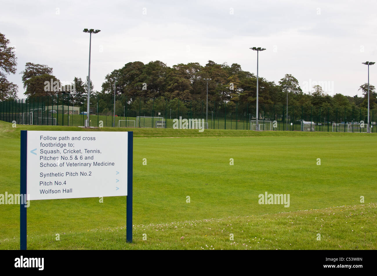 Enclosed synthetic grass football pitch and grass rugby/football field ...
