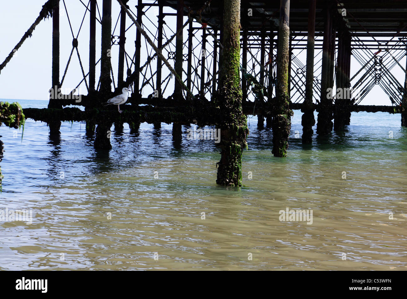 Paignton Pier, support beams Stock Photo - Alamy