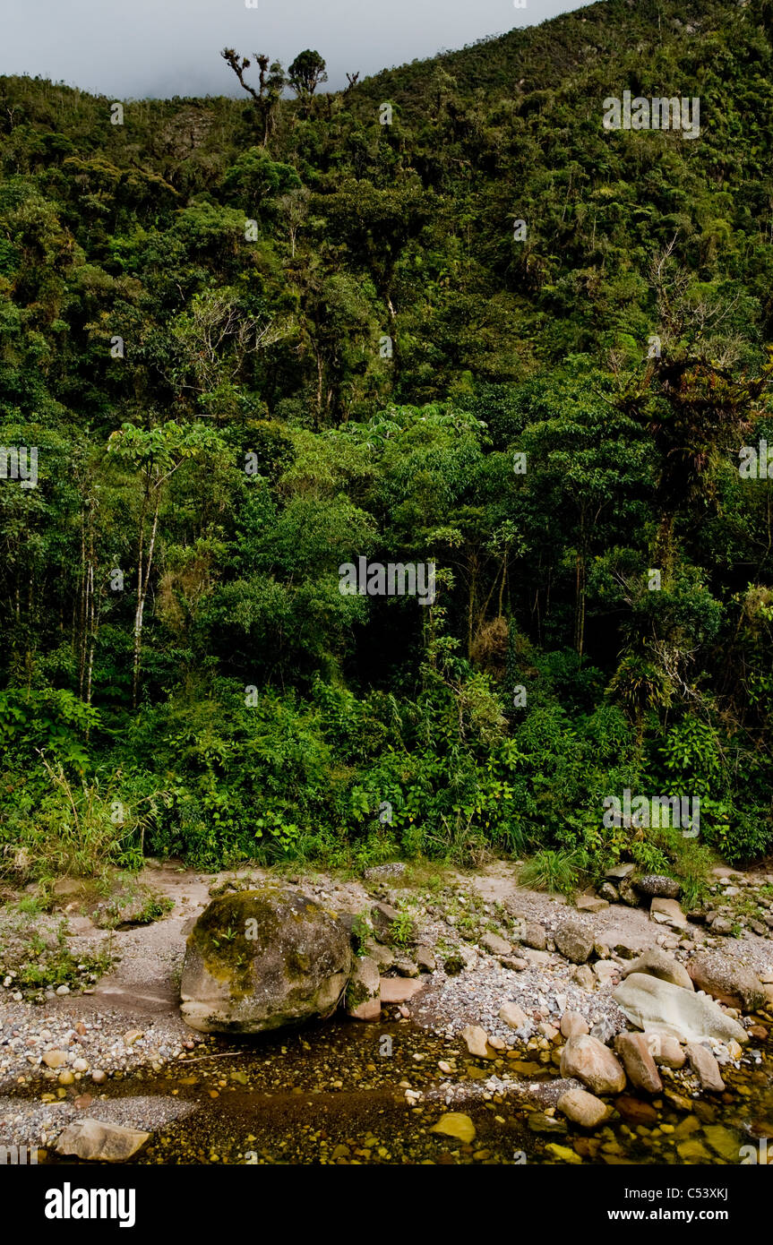 Alto Mayo High Resolution Stock Photography and Images - Alamy