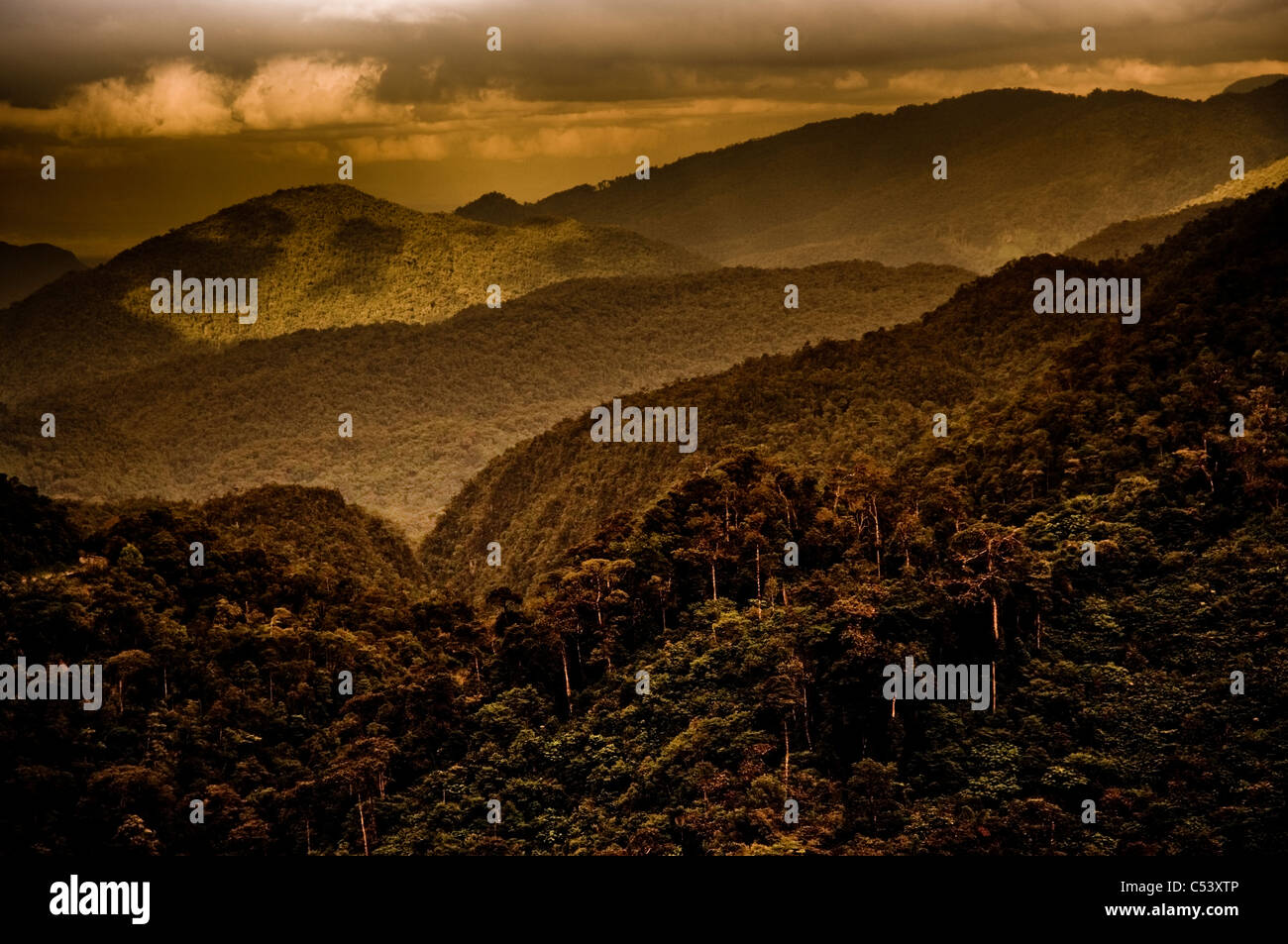 Alto mayo hi-res stock photography and images - Alamy
