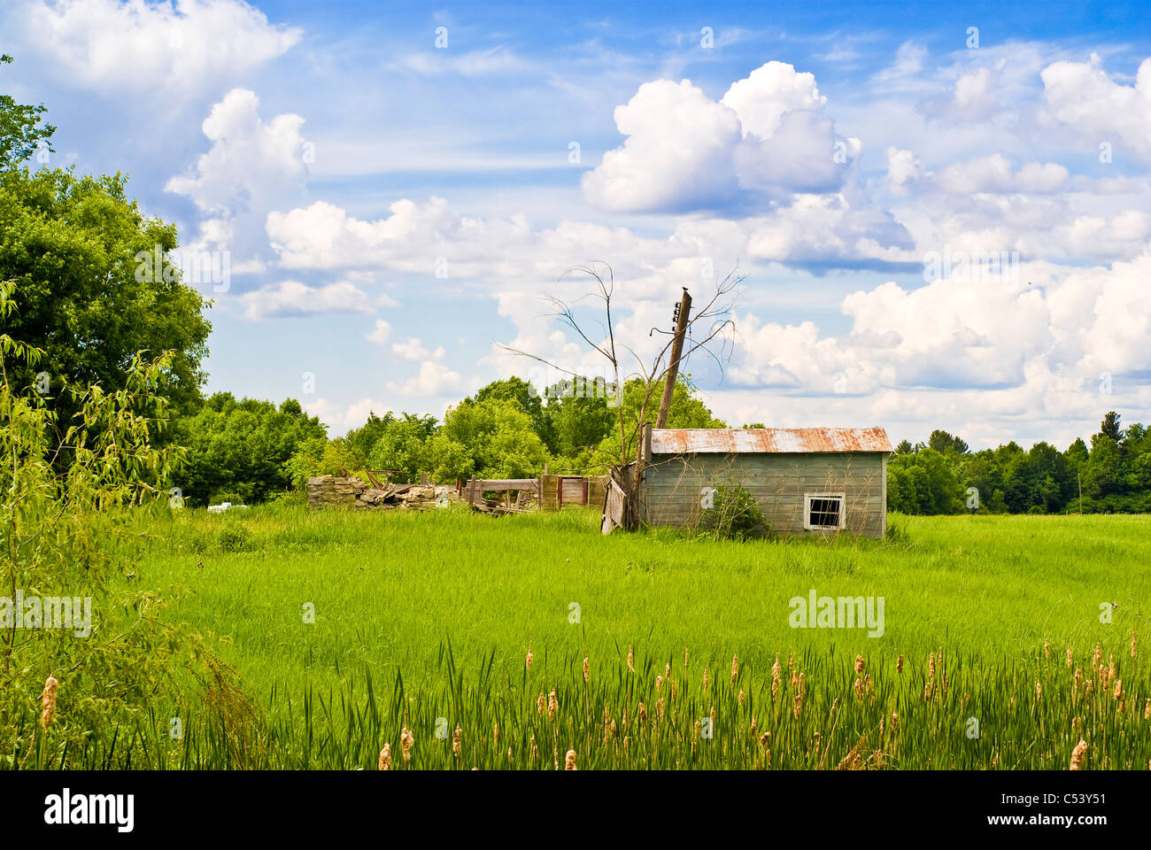 A small, run-down cabin in a lush, green country meadow set against ...