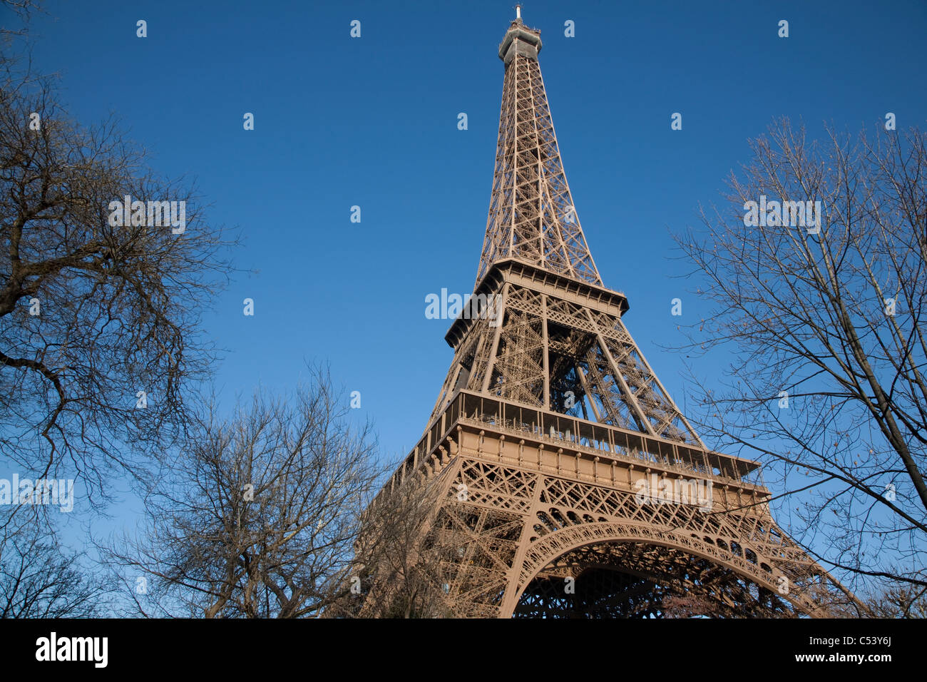 Eiffel Tower with Winter Trees in Paris, France Stock Photo - Alamy