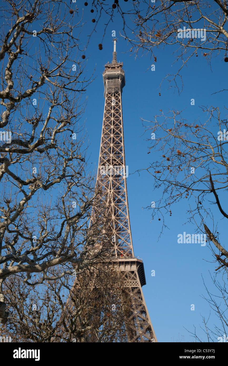 Eiffel Tower through Winter Tree Branches in Paris, France Stock Photo ...