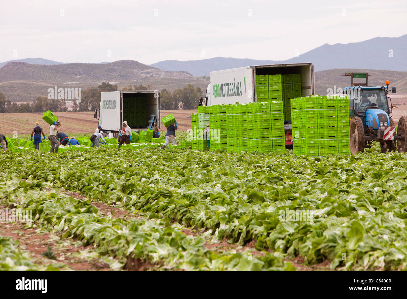 Crops being harvested hi-res stock photography and images - Alamy