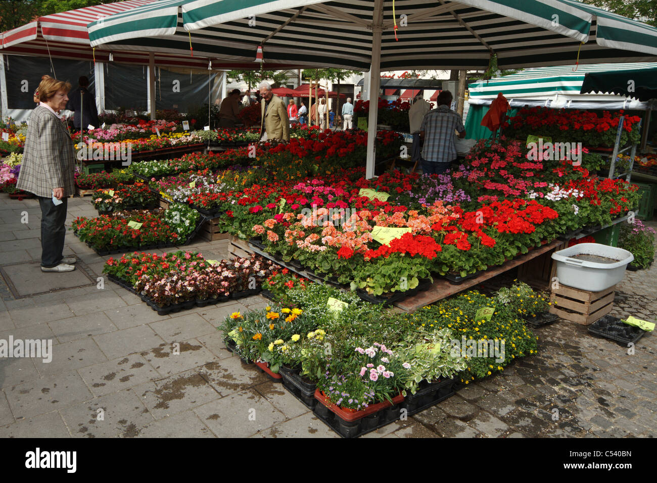 Flower market munich stall hi-res stock photography and images - Alamy
