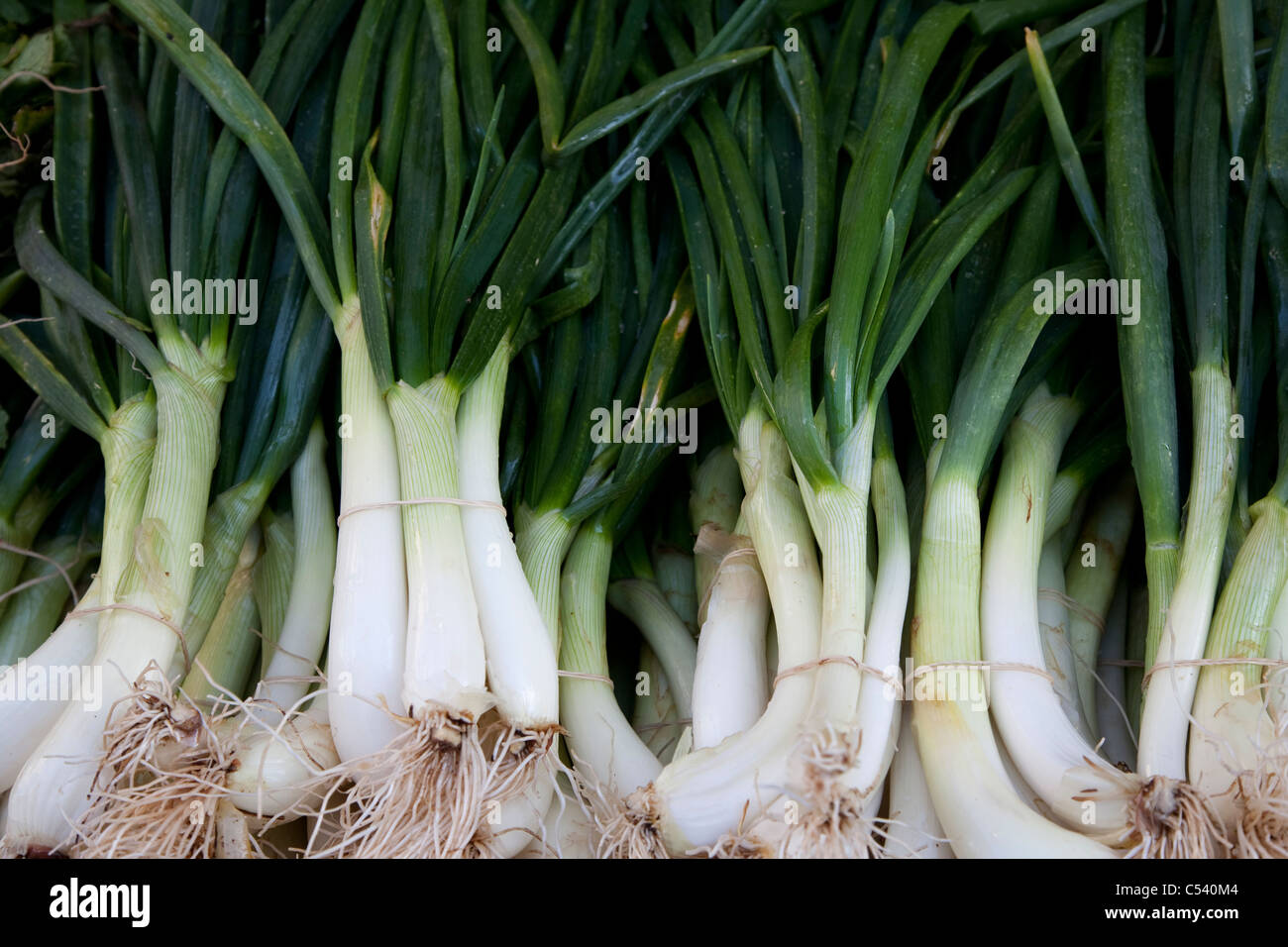 Leeks for sale on Market in Spain Stock Photo - Alamy